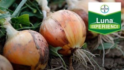 Bayer Crop Science New Zealand