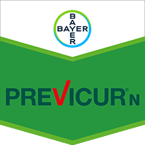 Previcur N | Fungicides | Bayer Crop Science New Zealand